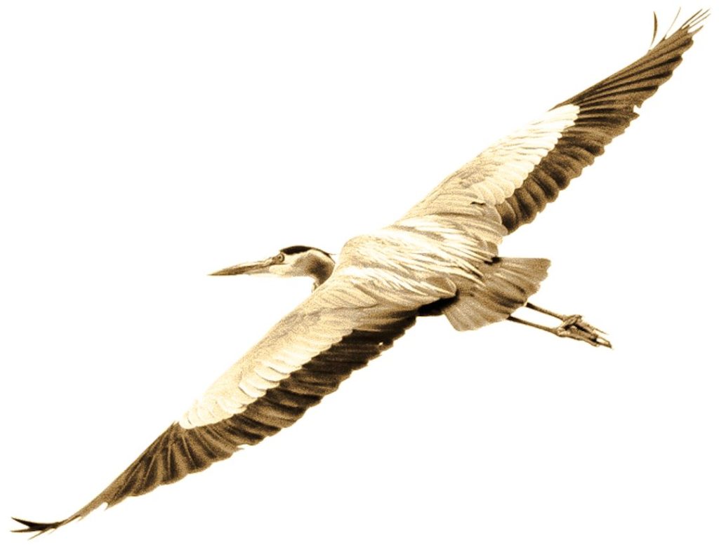 Maps, Hike Stats and Transportation – The San Francisco Bay Trail: It's ...